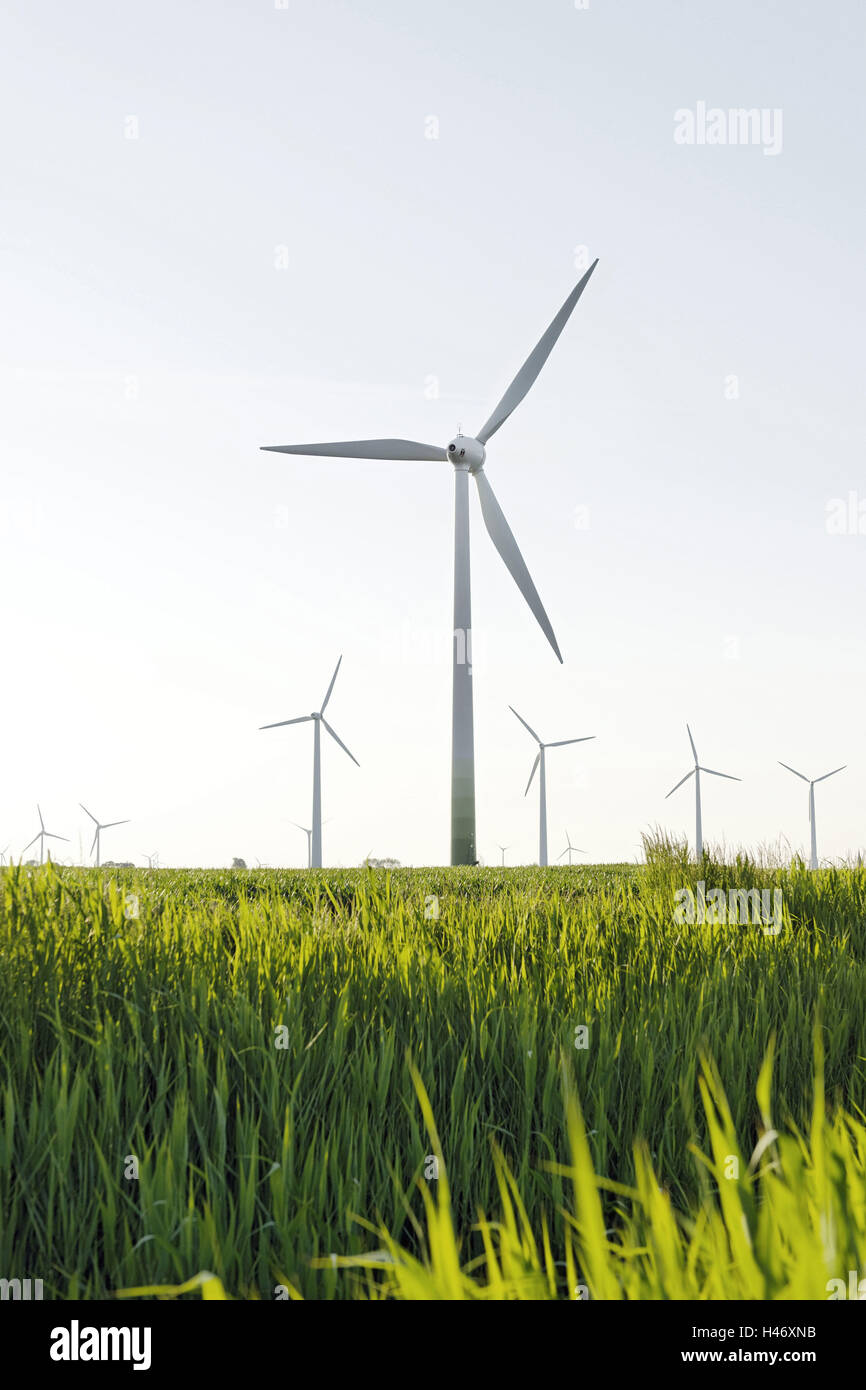 Wind turbines, wind power station, renewable energy, wind park, parish ...