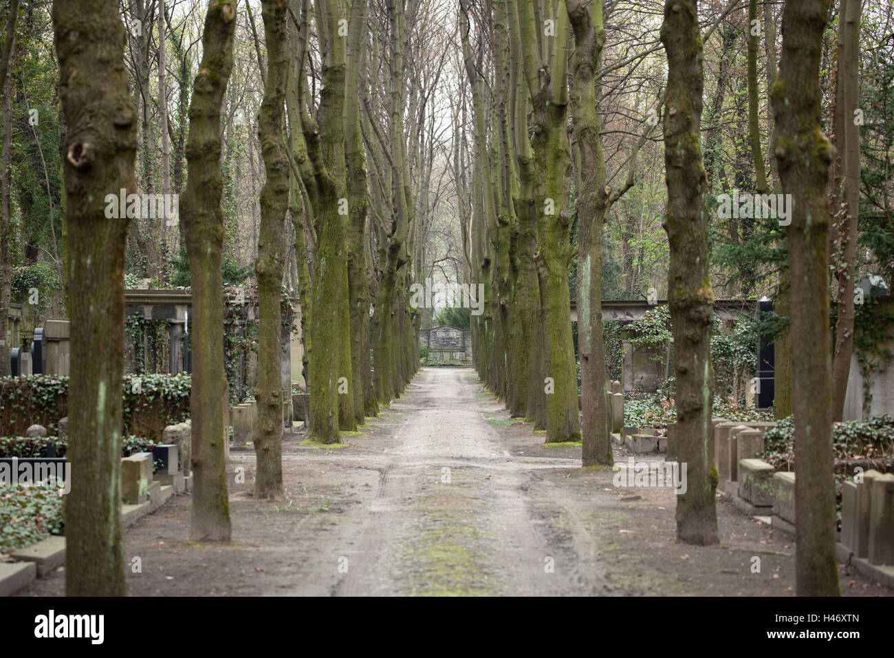 Jewish cemetery, Berlin-Weißensee Stock Photo - Alamy