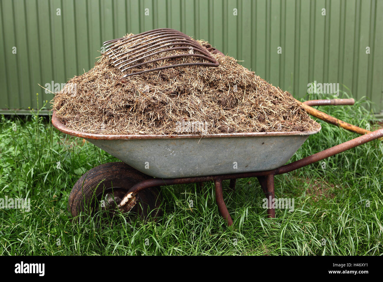 Cow dung on meadow hi-res stock photography and images - Alamy