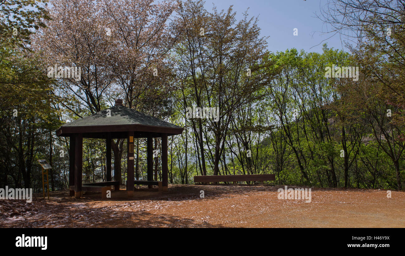 Hiking in Gyejoksan Mountain - Red Clay Trail Stock Photo - Alamy