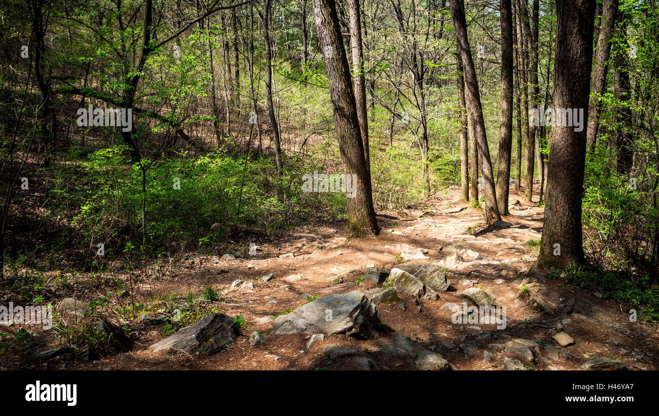 Hiking in Gyejoksan Mountain - Red Clay Trail Stock Photo - Alamy