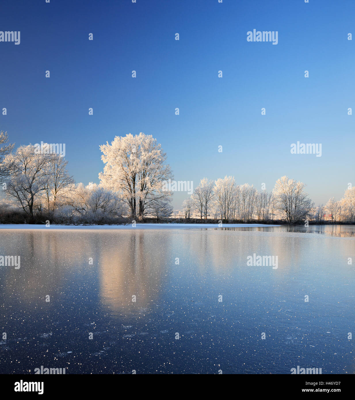 Half preserve hi-res stock photography and images - Alamy