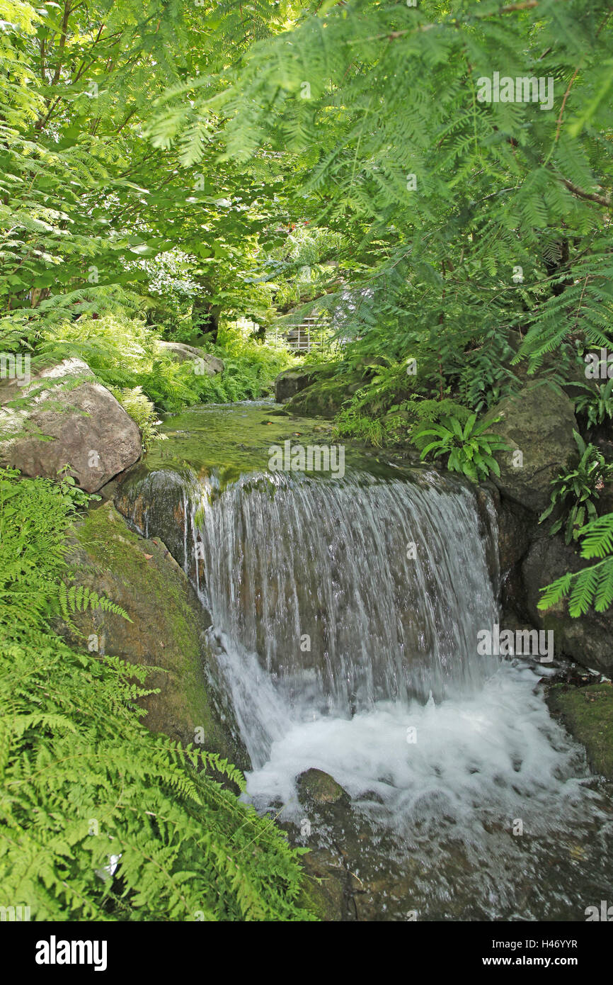 Brook little hi-res stock photography and images - Alamy