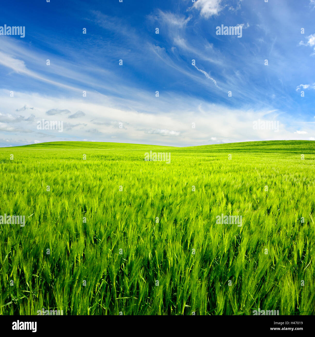 Spring landscapes blue sky hi-res stock photography and images - Alamy