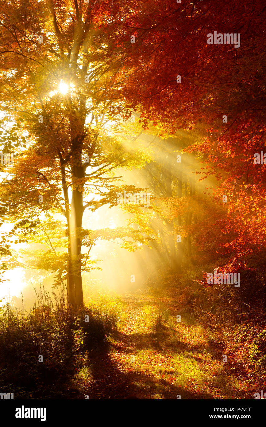 Fall landscapes in germany hi-res stock photography and images - Alamy
