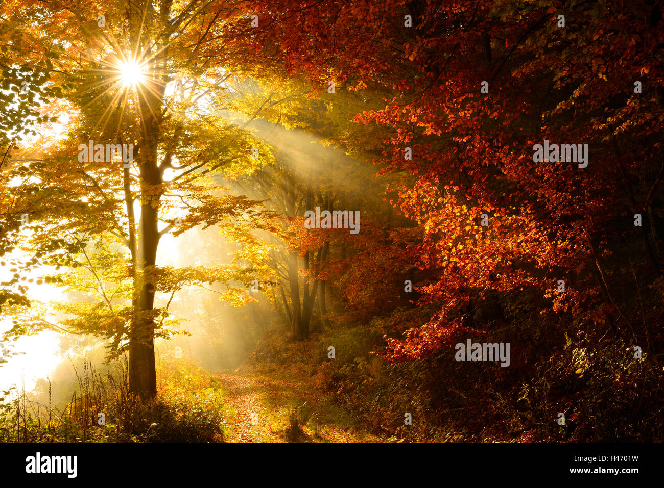 Fall landscapes in germany hi-res stock photography and images - Alamy