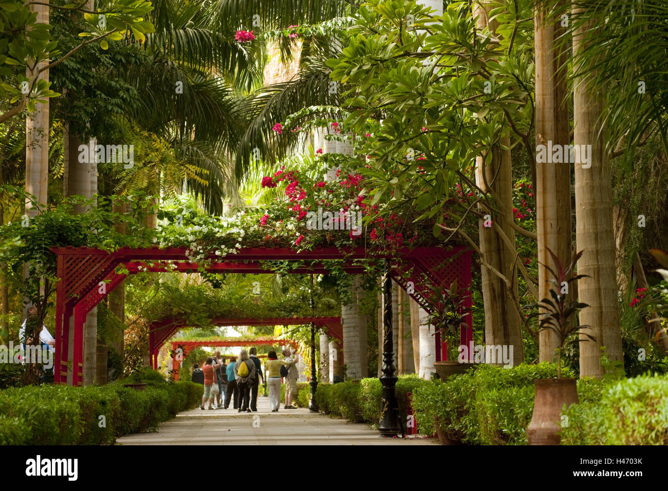 Egypt, Aswan, botanical garden on the Kitchener island Stock Photo - Alamy