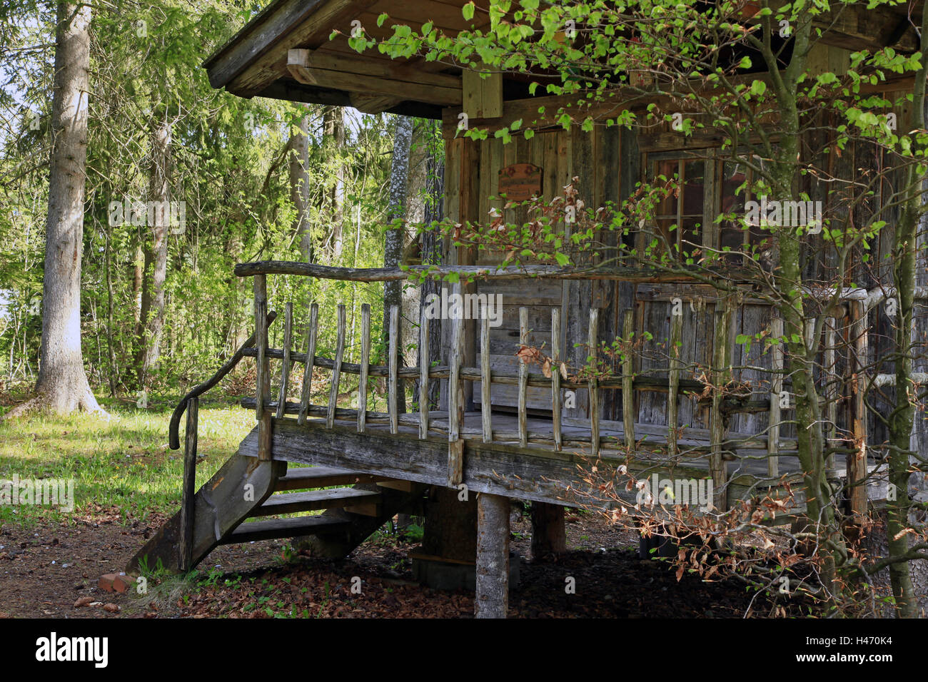 Wooden hut in the forest Stock Photo - Alamy