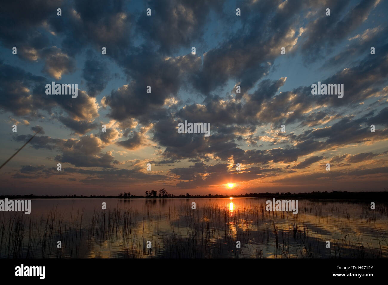 Africa, Namibia, Caprivi area, Okawango river, sundown, dusk Stock ...