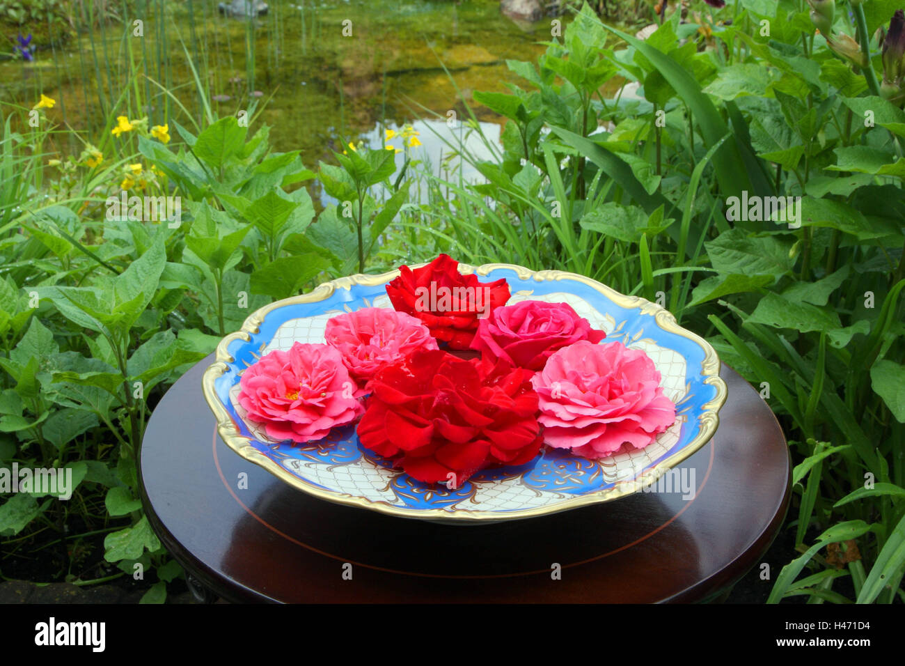 Peel with rose blossoms Stock Photo - Alamy