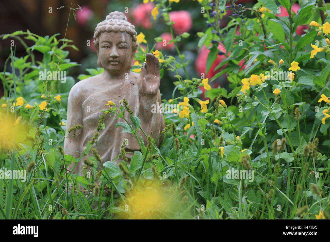 Figure landscape hi-res stock photography and images - Alamy