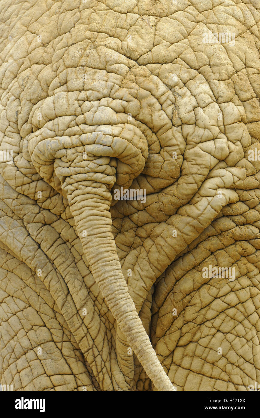 Back view detail hi-res stock photography and images - Alamy