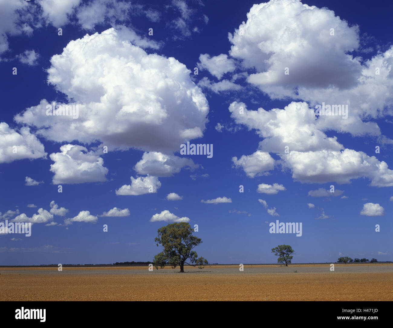 Australia, Victoria, Wimmera District, Stawell, farm country with ...