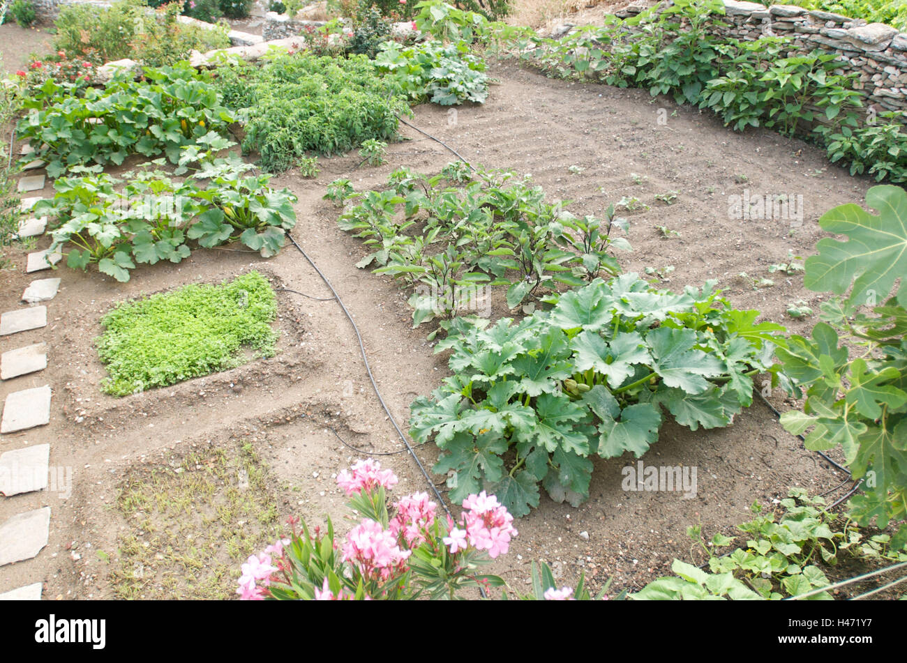 Garden island hi-res stock photography and images - Alamy