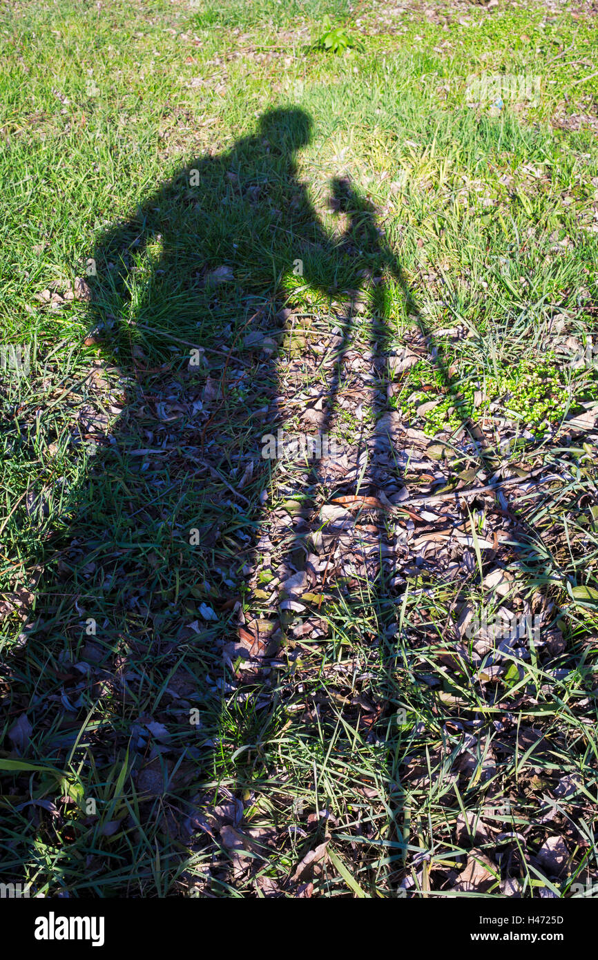 Nature photographer's shadow in the morning sun Stock Photo - Alamy