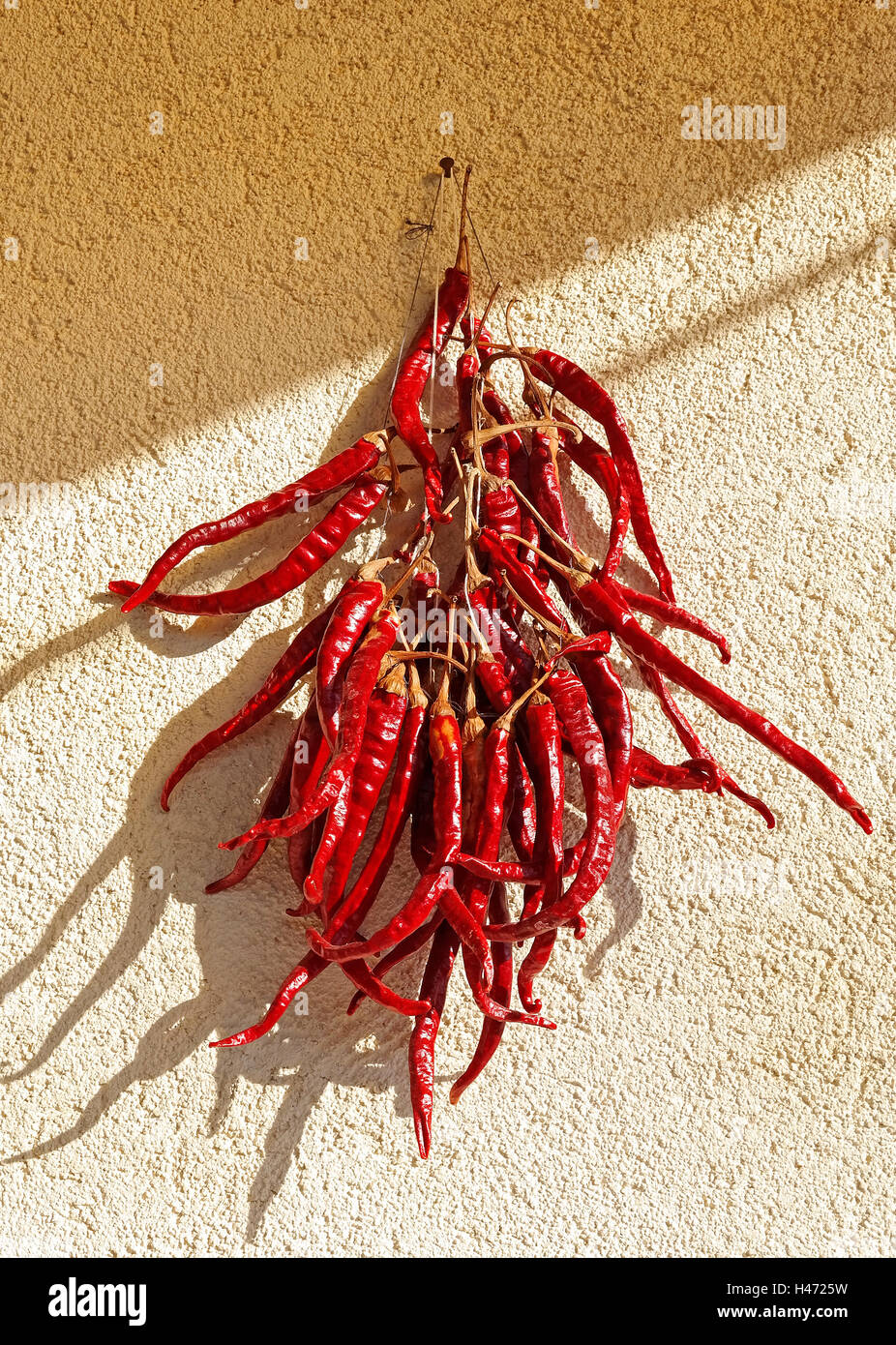 Chili pepper wreath hi-res stock photography and images - Alamy