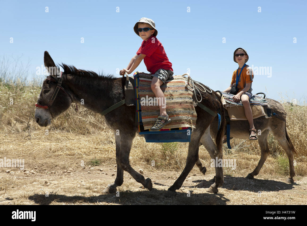 Donkey_ride hi-res stock photography and images - Alamy