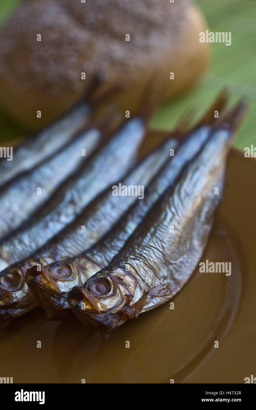 Sprats, smoked, sea fish, fish, smoked, medium close-up, loaf of bread ...