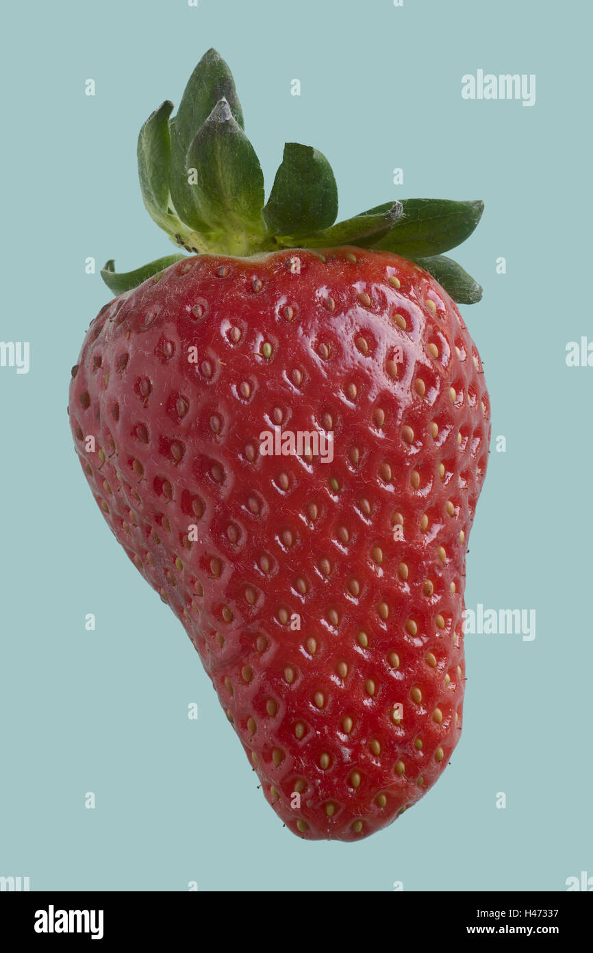 Polyploidy In Strawberries