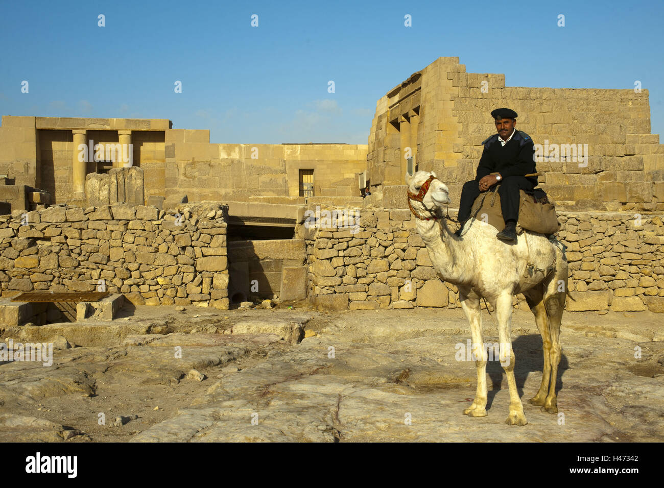 Egypt cairo pyramids tourist police hi-res stock photography and images ...