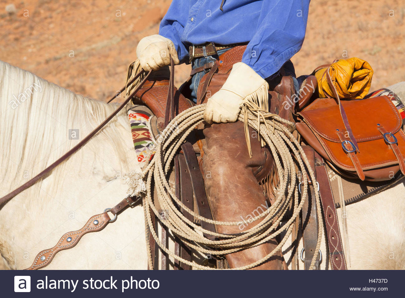 Lasso Saddle High Resolution Stock Photography and Images - Alamy