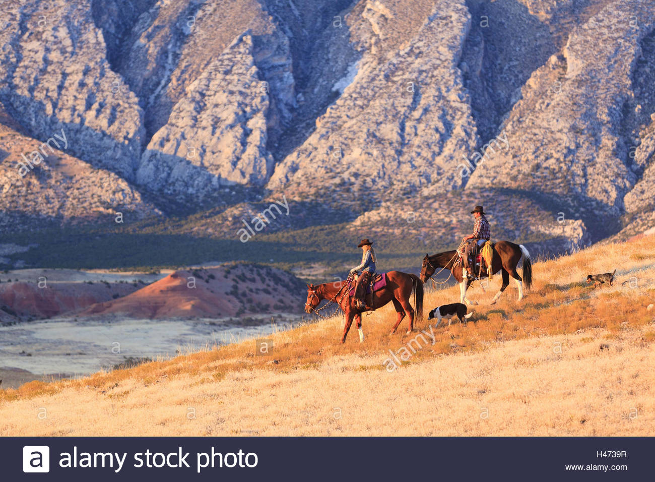 Cowboy Riding Into Sunset Stock Photos & Cowboy Riding Into Sunset ...