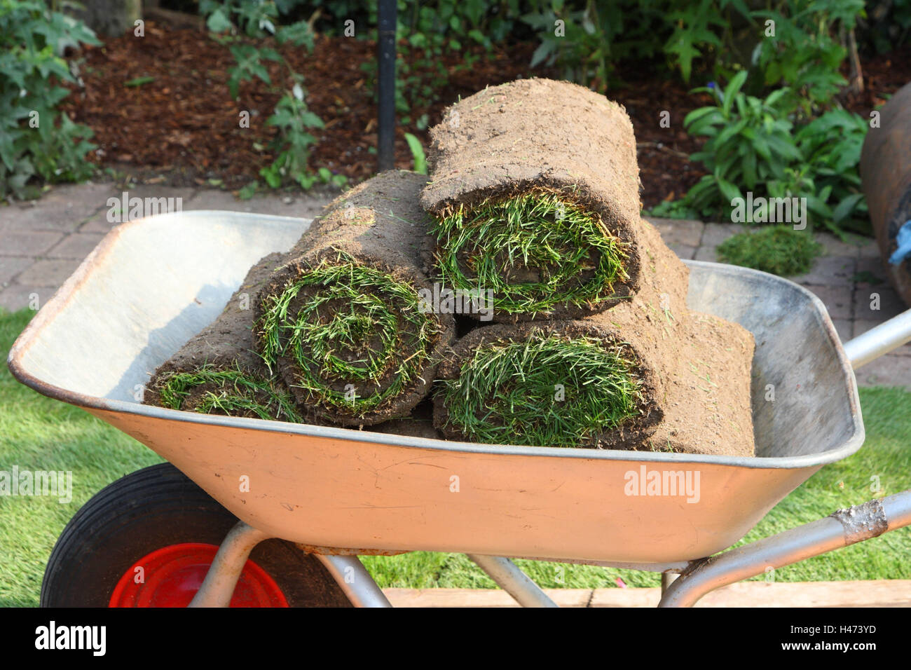 Invest of a rolling turf in the garden Stock Photo - Alamy