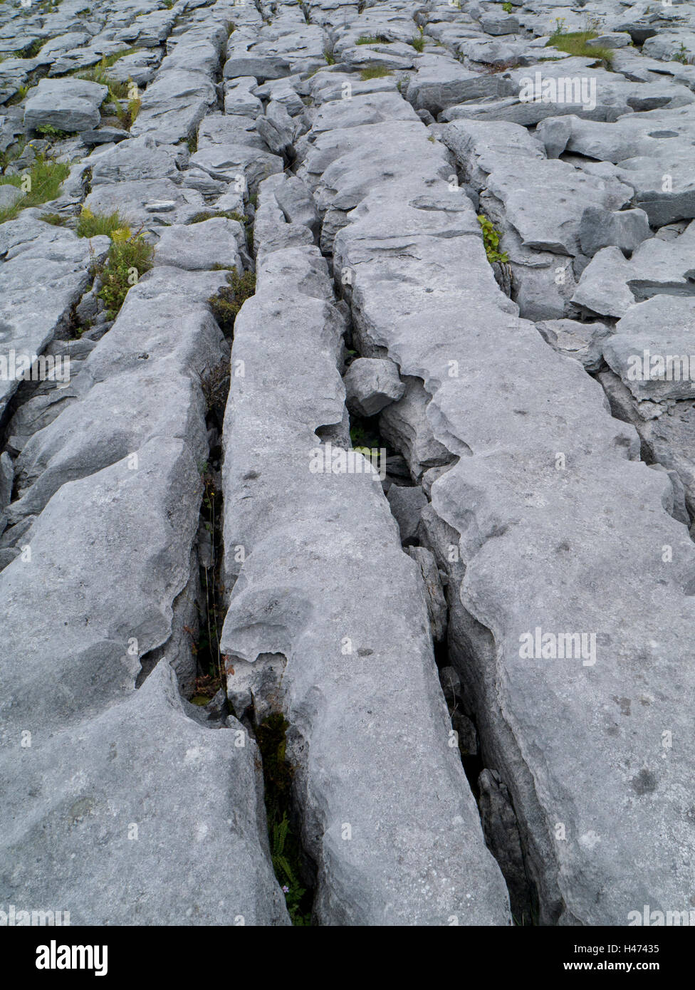 Limestone pavement in the Burren, County Clare Stock Photo - Alamy