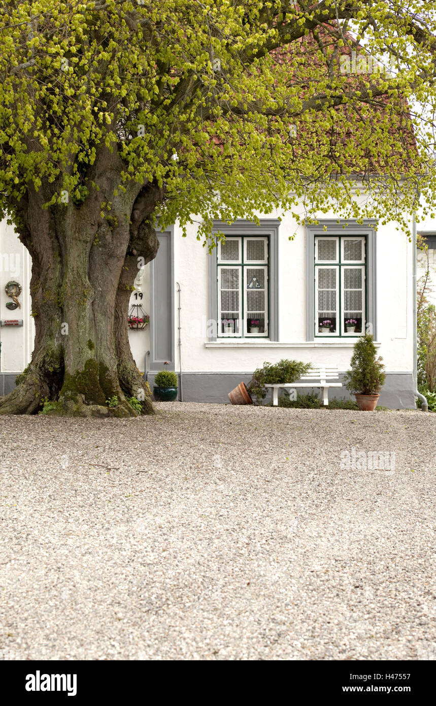 Residential house, tree, outside, rurally, house, building ...