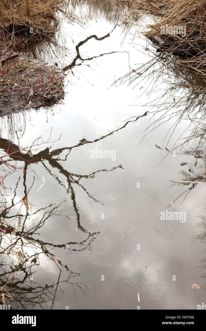 Brook, tree, reflection, outdoor shot, seasons, water, grass, tranquil ...