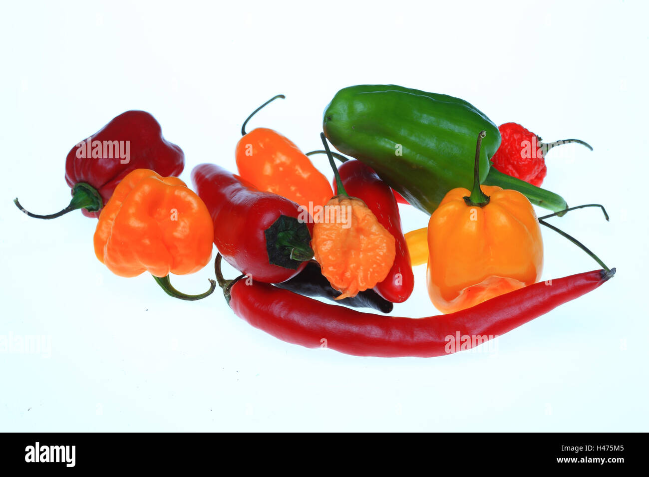 several chili pepper, Capsicum annuum Stock Photo - Alamy