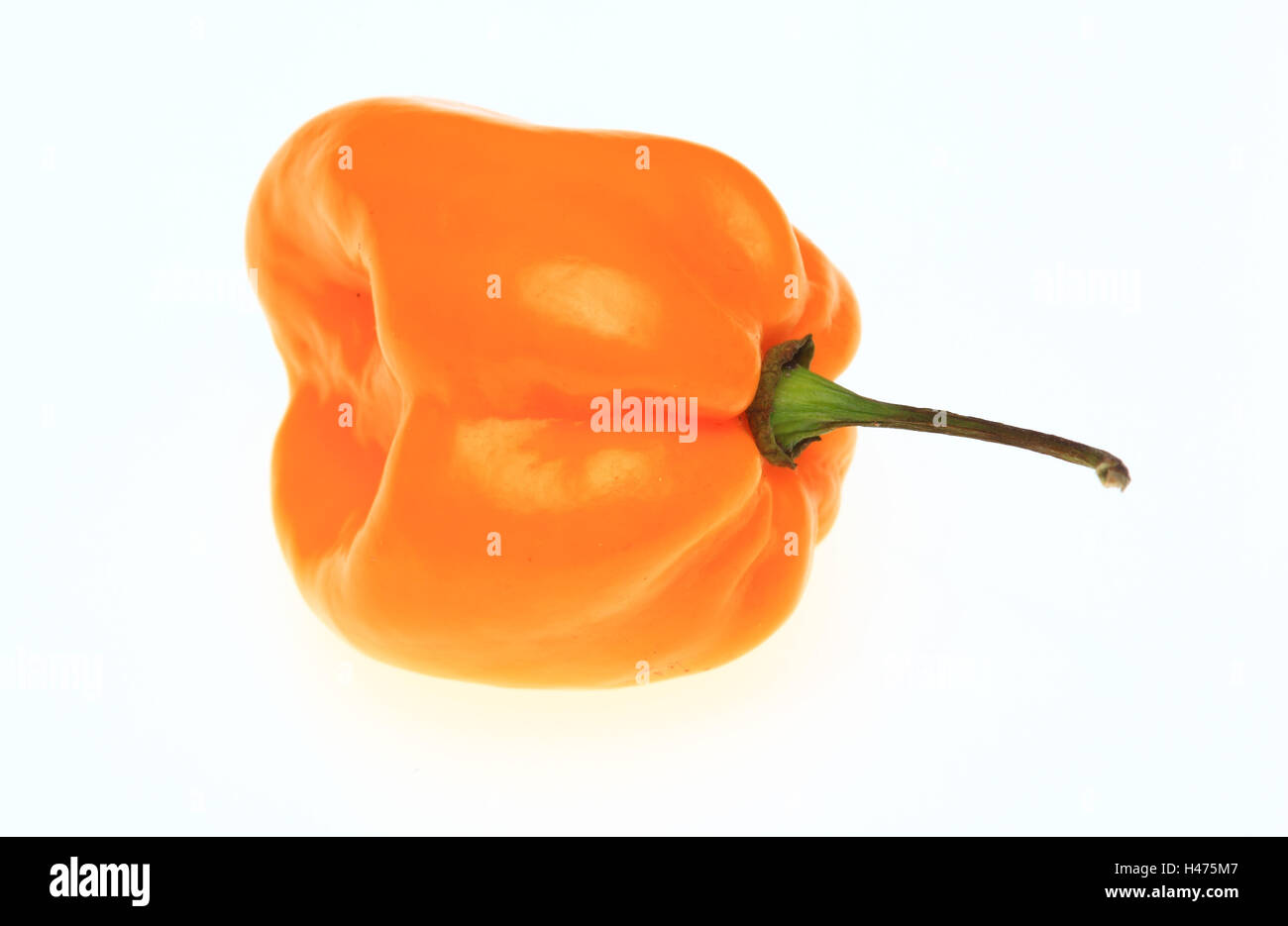 Yellow capsicum annuum hi-res stock photography and images - Alamy