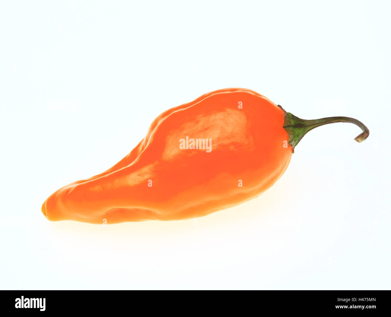 Capsicum annuum capsicum frutescens hi-res stock photography and images ...