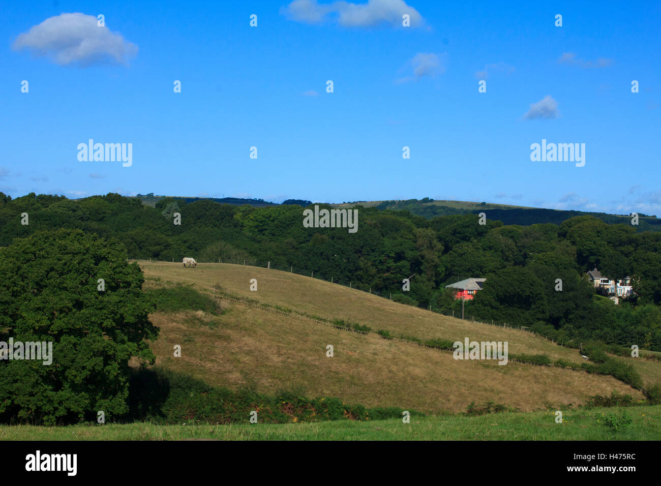 Isle of Wight countryside - England Stock Photo - Alamy
