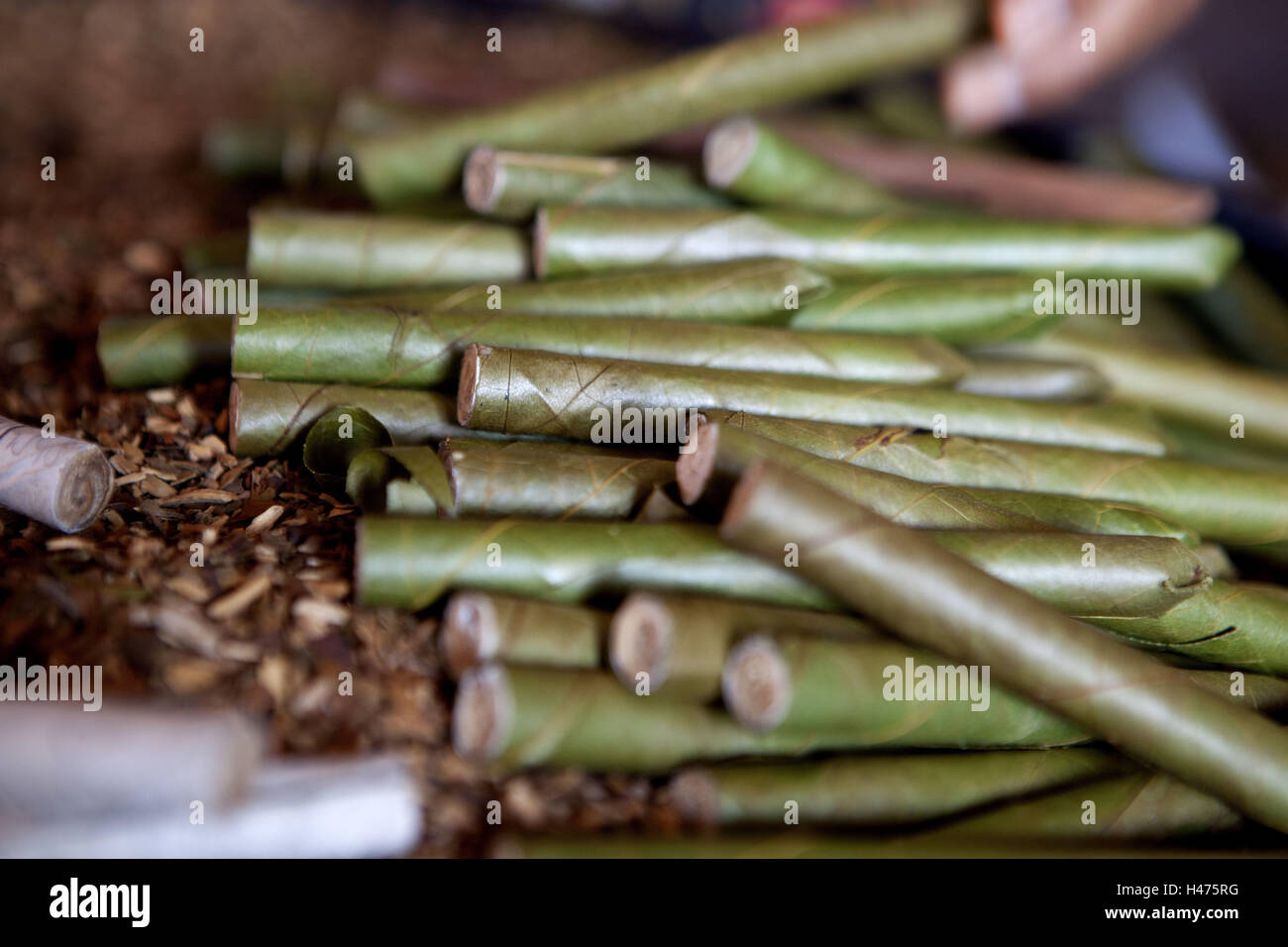 Myanmar, hand-rotated cigars Stock Photo - Alamy