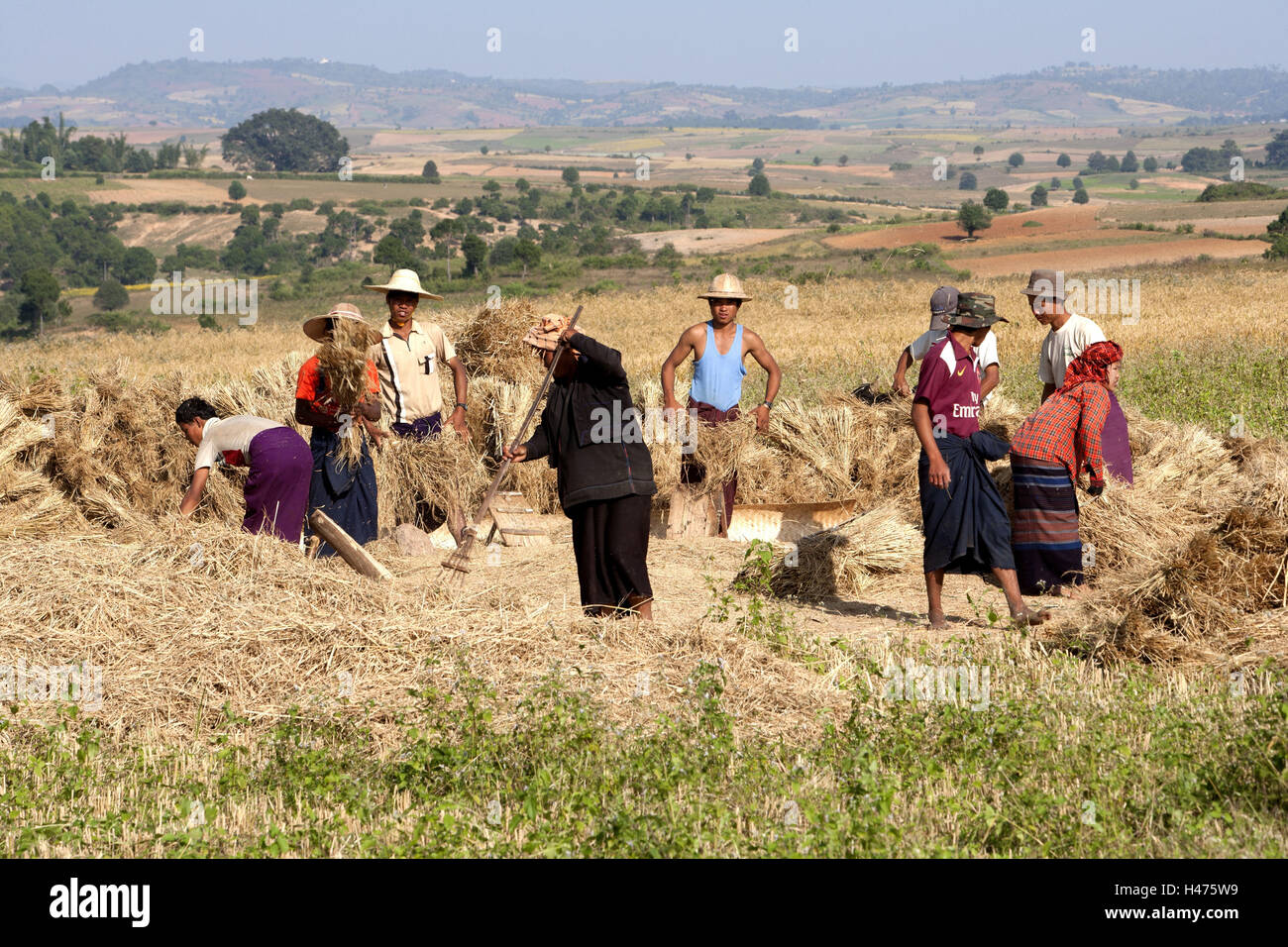 What Is An Agricultural Laborer at Winnie Norris blog