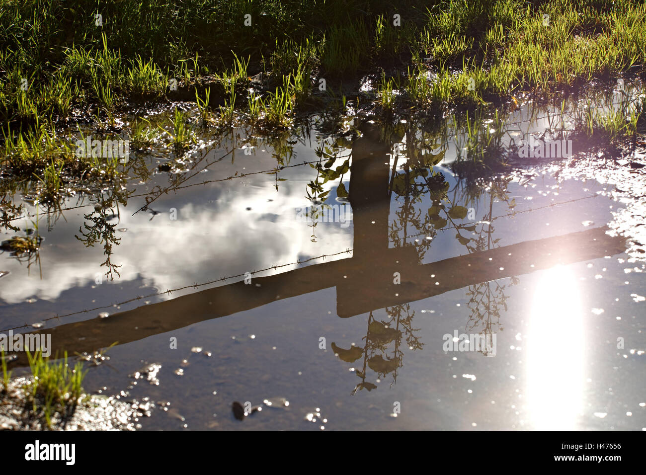 Puddle, field, reflection, fence, pasture, cloud, meadow, rural, water ...