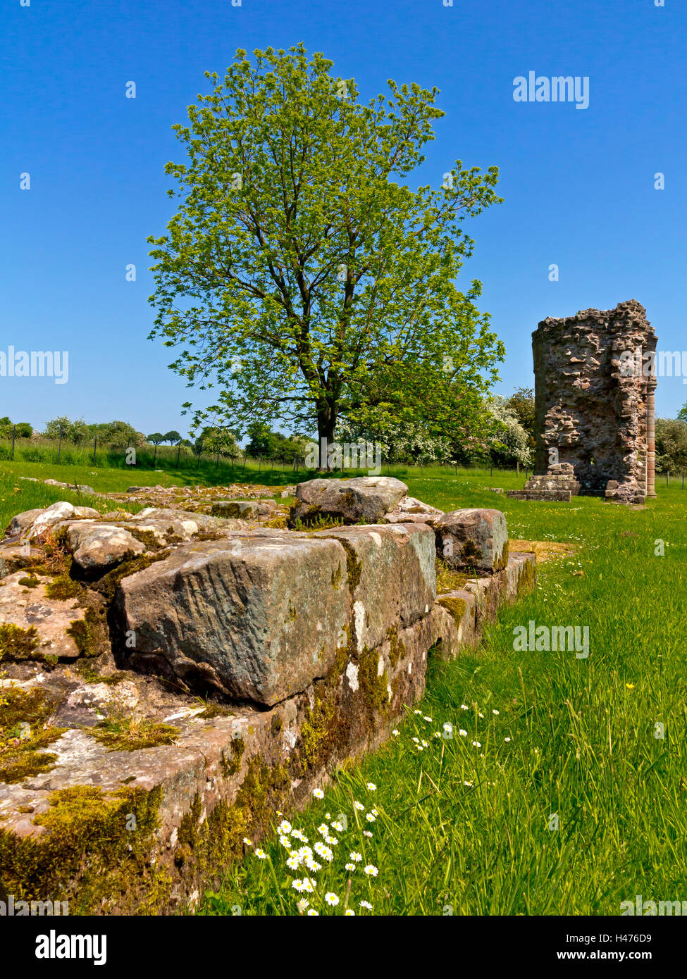 Ruins of Croxden Abbey Staffordshire England UK Cistercian Monastery ...