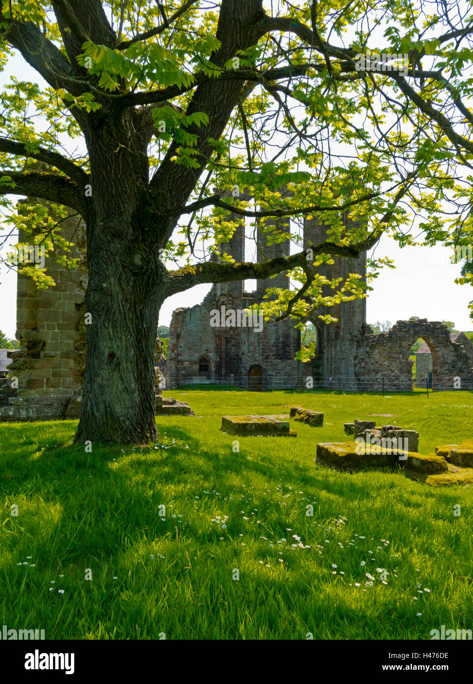 Ruins of Croxden Abbey Staffordshire England UK Cistercian Monastery ...