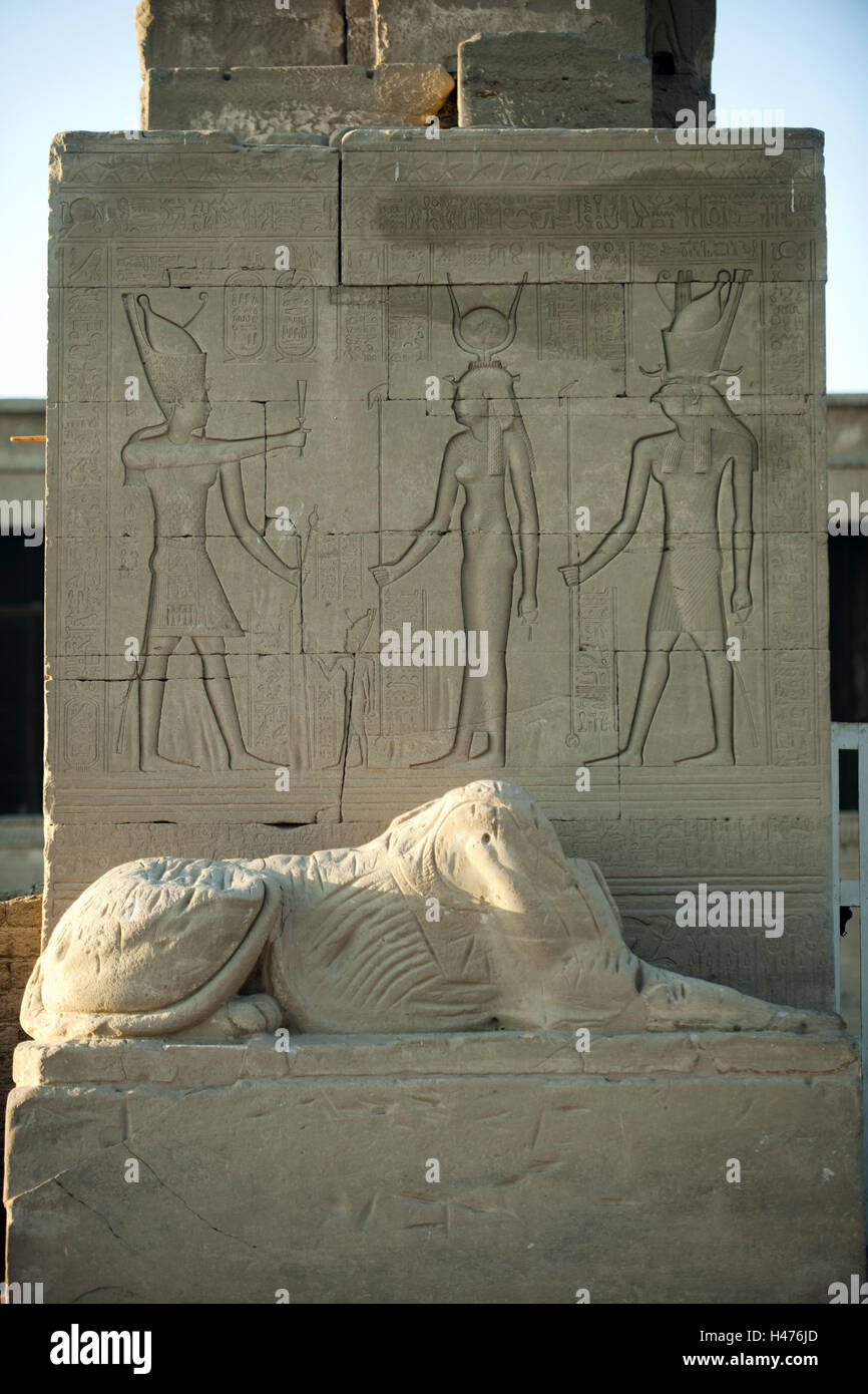 Egypt, Qena, Dendera, relief and lion's statue in the Hathor temple ...