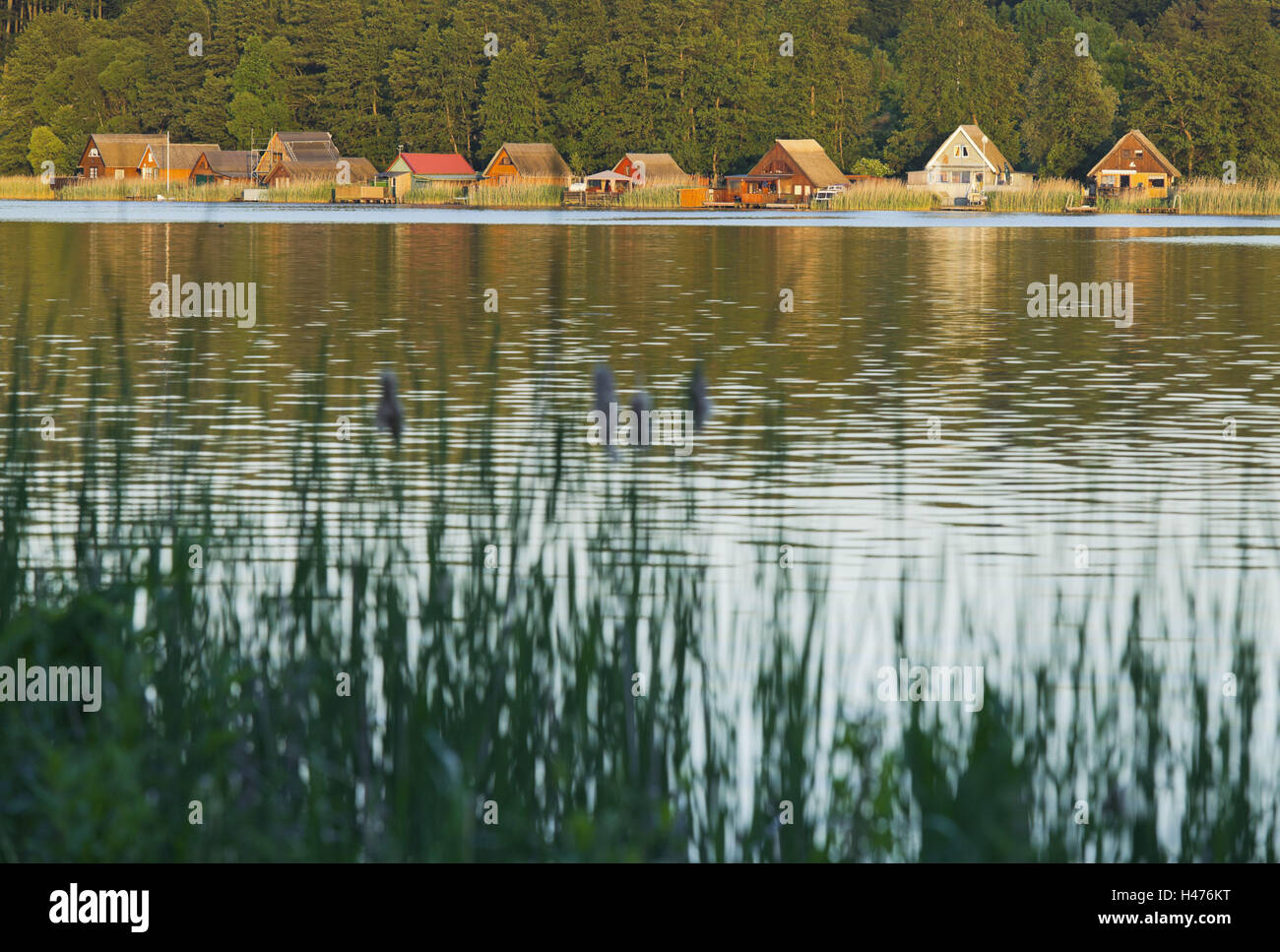 Germany, Mecklenburg lowland plain full of lakes, reed, shore, houses ...