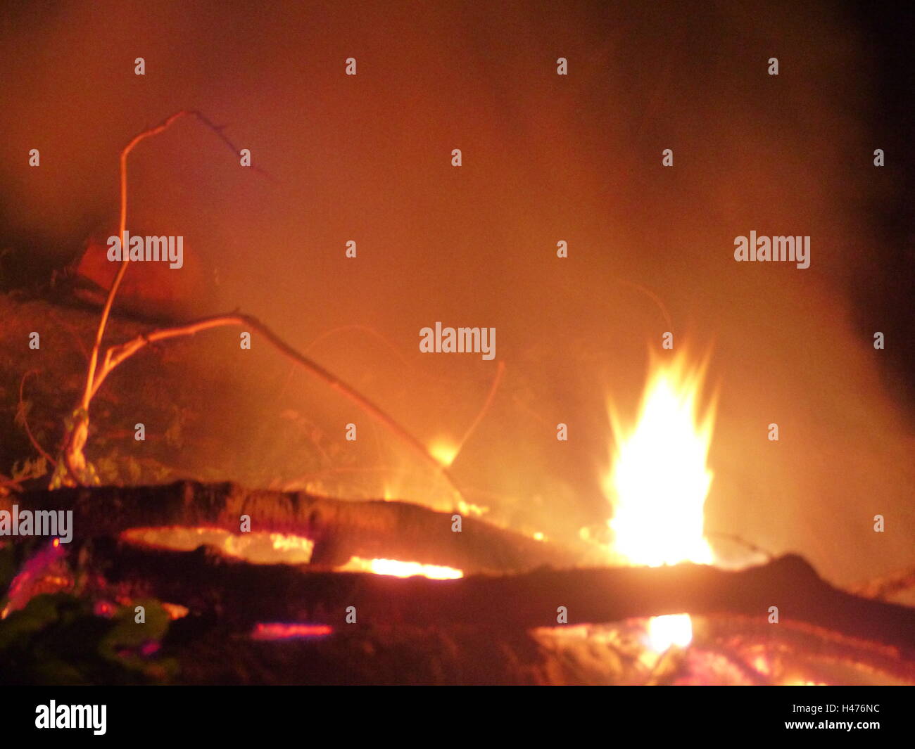 fire, destruction, forest fire, loss, environmental disaster, USA ...