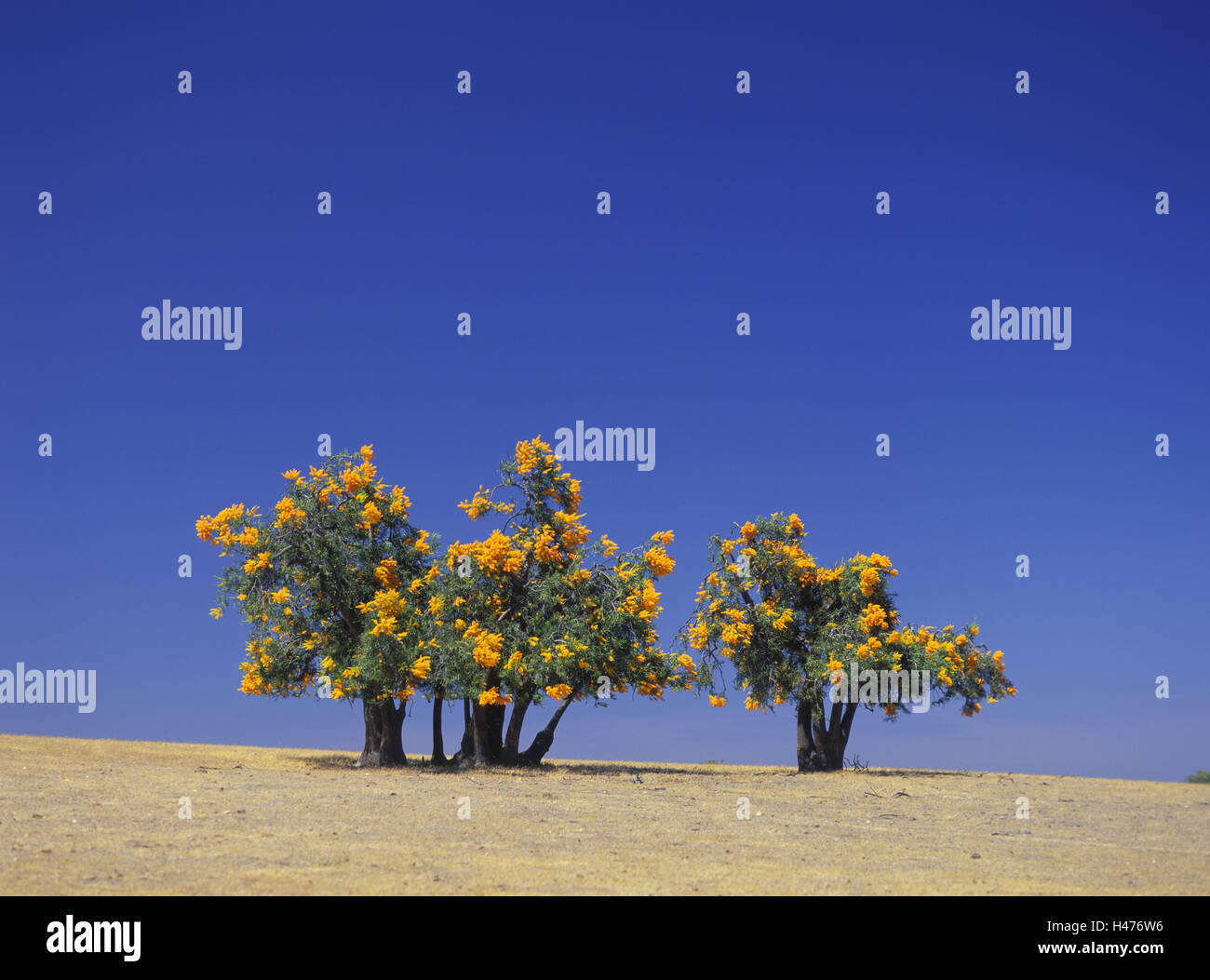 Batavia australia hi-res stock photography and images - Alamy