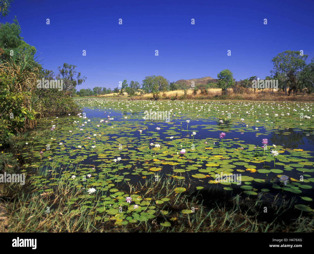 Keep River National Park Australia High Resolution Stock Photography ...