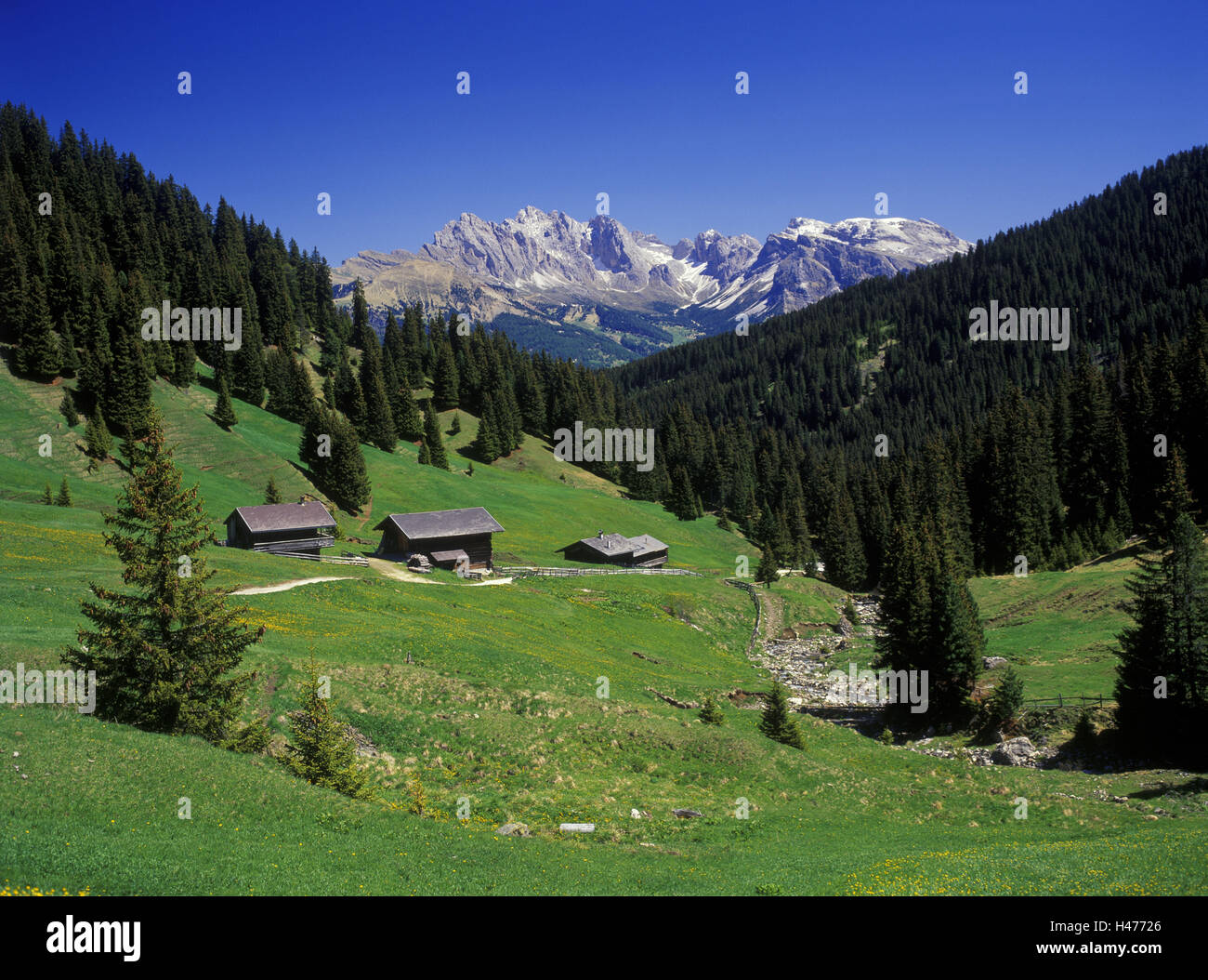 Italy, South Tyrol, Seiser alp, scenery with Saltria, background ...