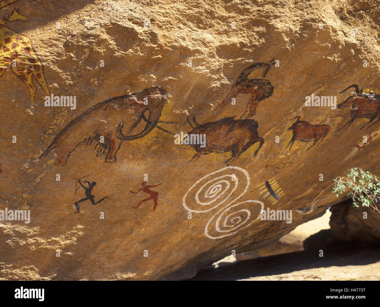 Namibia, Karibib District, Erongo, Ameib Ranch, Bulls Party, rock ...