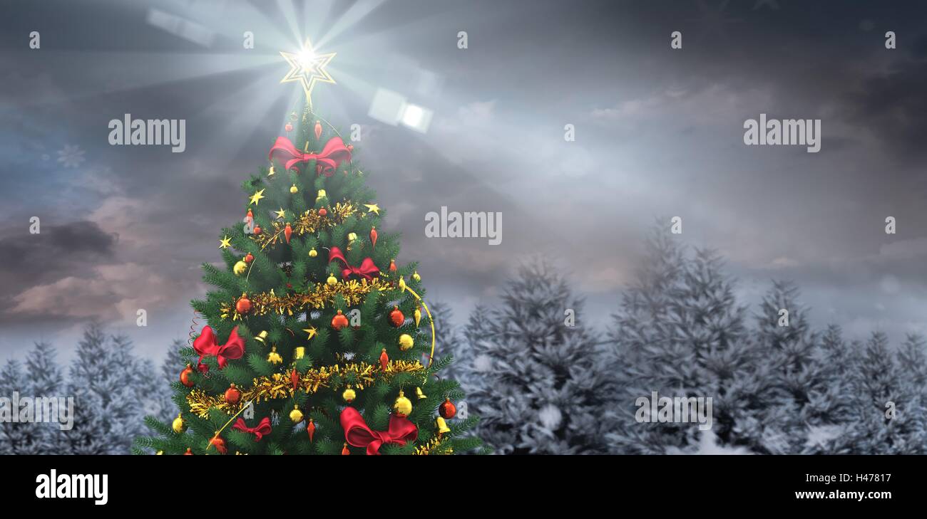 Christmas tree in snowy forest Stock Photo - Alamy