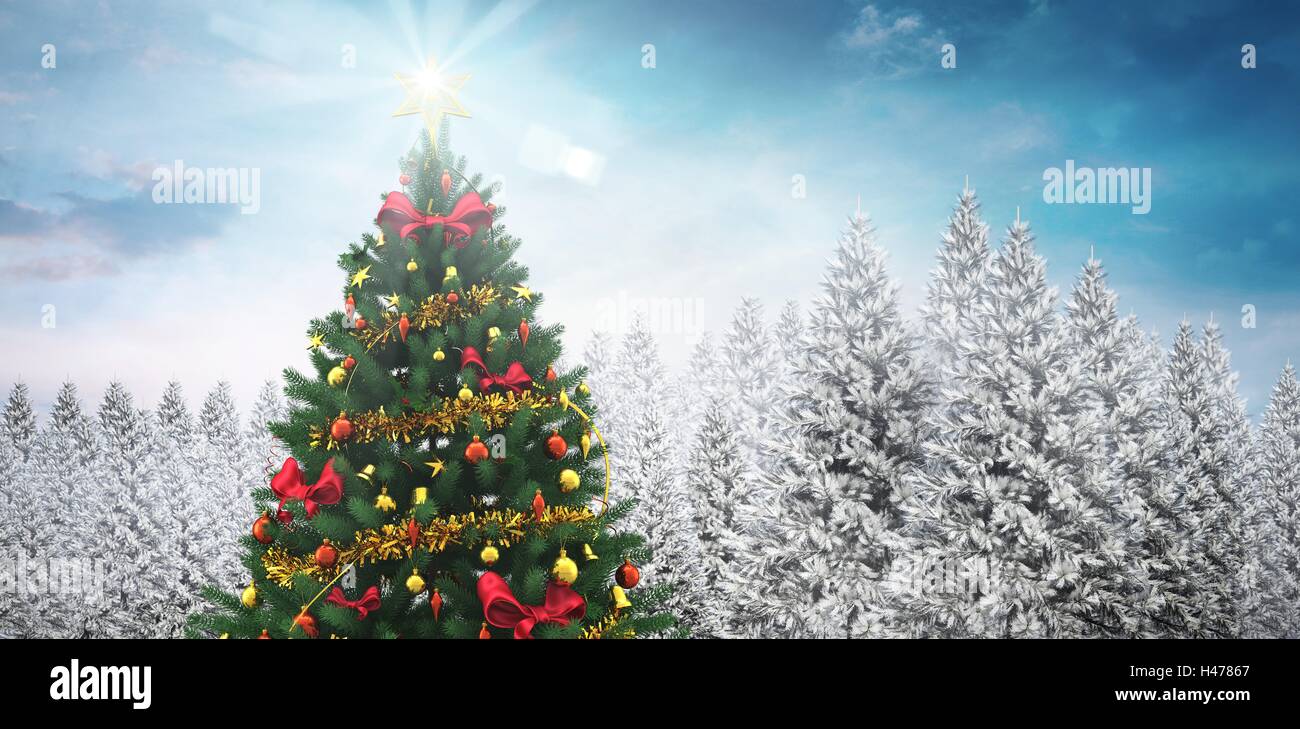 Christmas tree in the forest hi-res stock photography and images - Alamy