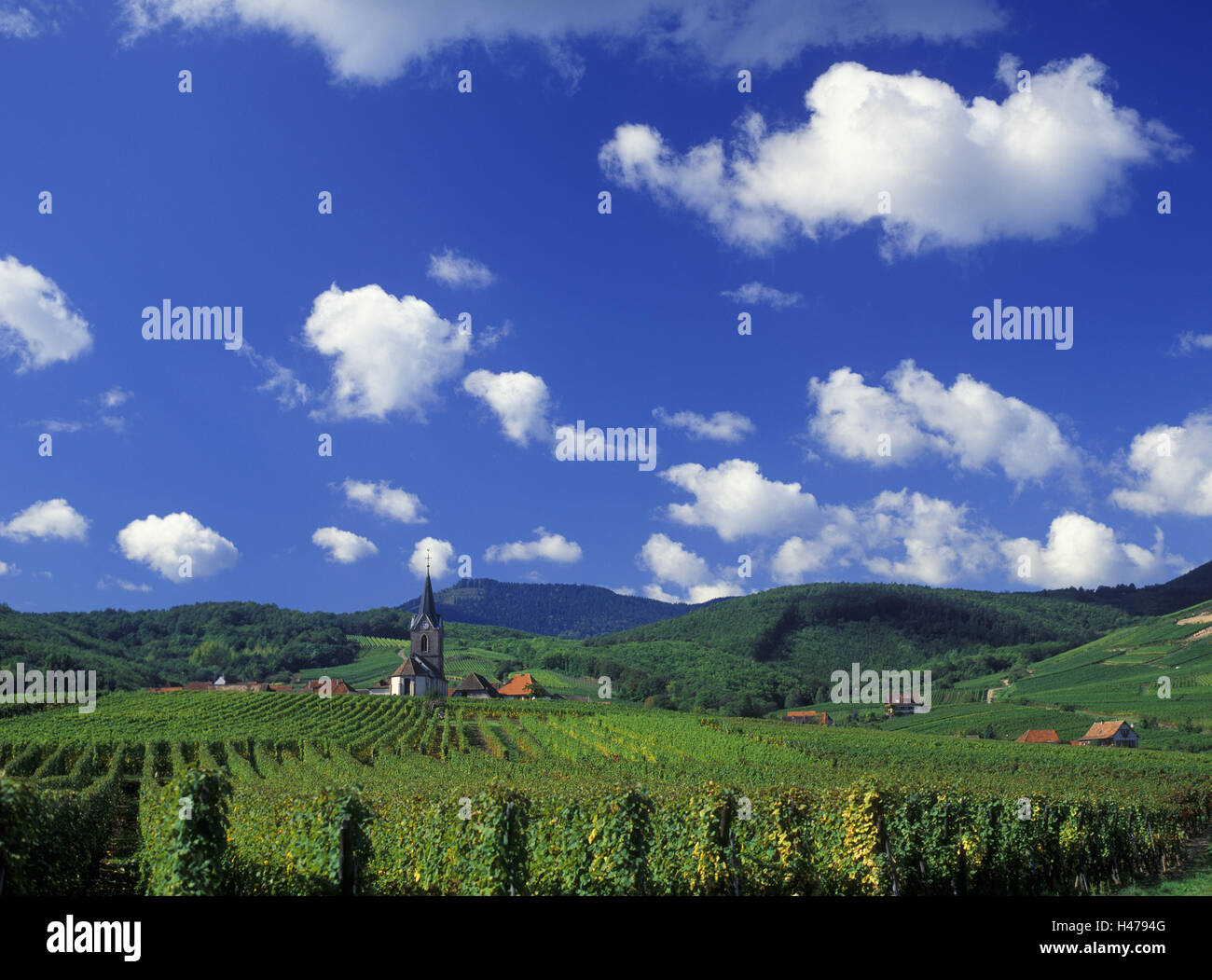 France, Alsace, route you Vin, Rodern Stock Photo - Alamy