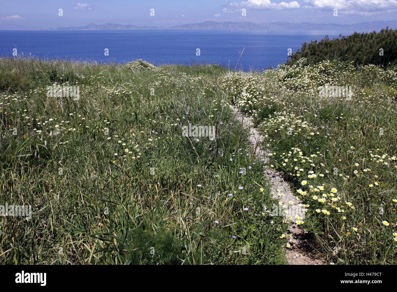 Greece, Rhodes, meadow, sea, spring, field, country lane, sea, water ...
